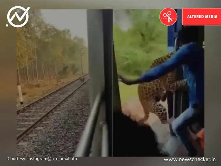 Fact Check: Viral Footage Of Leopard Chasing Train, Attacking Passenger ...