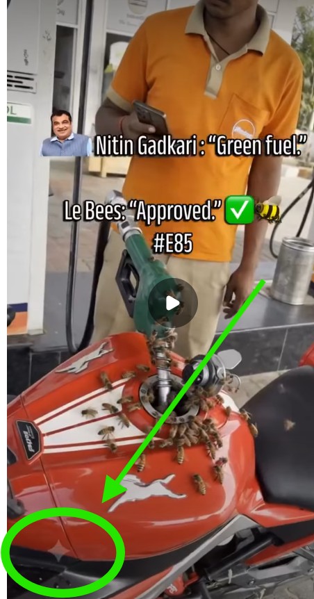 Bees Swarming Around E85 Fuel? This Viral Video Is AI-Generated